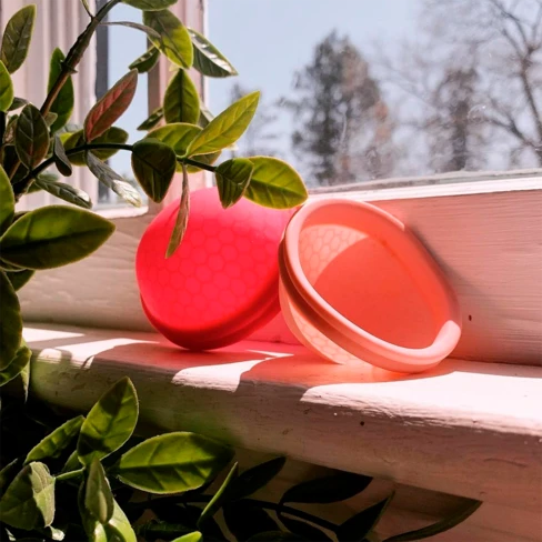 Intimina Ziggy 2 Menstrual Disc SweetCare United States