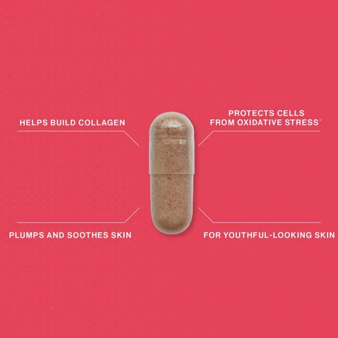 Advanced Nutrition Programme Skin Collagen Support Suplemento Alimentar para Firmeza - SweetCare ...