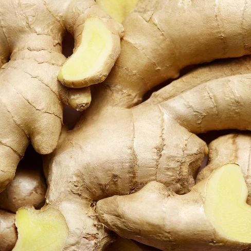 Escada Celebrate N.O.W. Eau de Parfum for Women SweetCare Japan