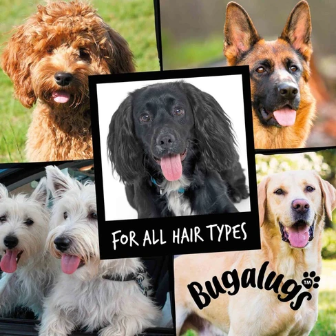 Bugalugs One in a Million Shampoo para Cão Luxuosamente Perfumado ...