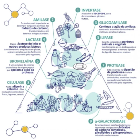 Digex Plus Suplemento Alimentar com Enzimas Digestivas - SweetCare Portugal