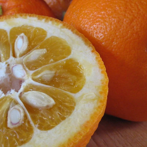 Nutreov Triolinum sem Hormonas Suplemento Alimentar para Menopausa - SweetCare Brasil